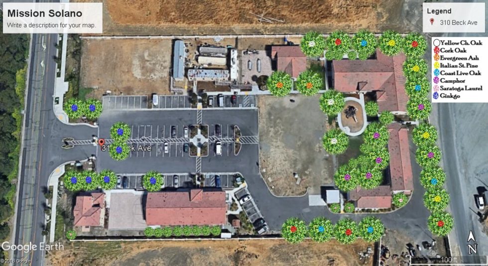 Urban Forest | Sustainable Solano